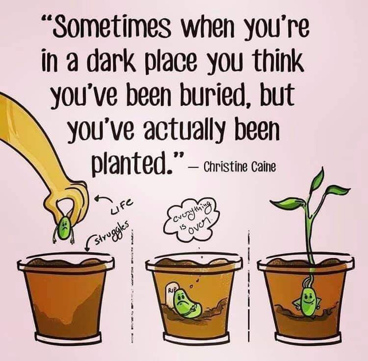 YOU HAVE BEEN PLANTED, NOT BURIED – SECRET 2 AN AMAZING LIFE