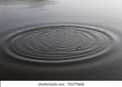 THE PEBBLE EFFECT 🌊 – SECRET 2 AN AMAZING LIFE