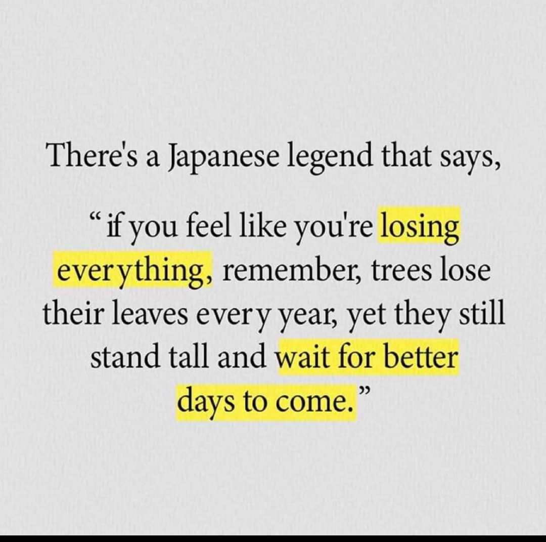 A GREAT LESSON FROM FALL 🍂🍁 – SECRET 2 AN AMAZING LIFE