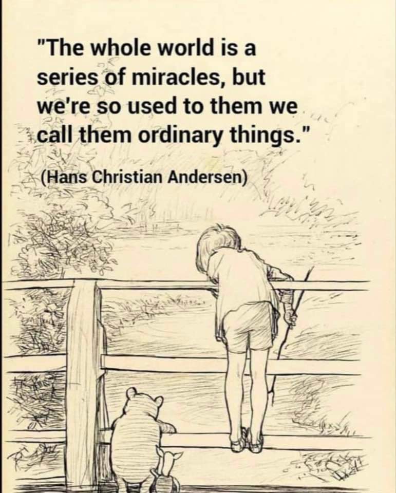 Ordinary Miracle Quotes