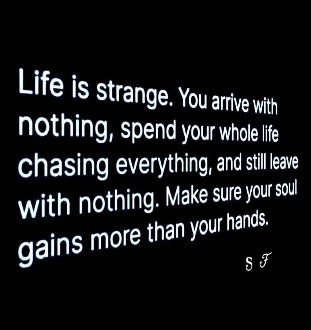 LIFE IS STRANGE 🤪 – SECRET 2 AN AMAZING LIFE