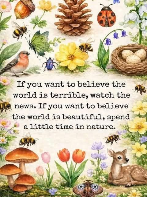 IF YOU WANT TO BELIEVE THE WORLD IS BEAUTIFUL – SECRET 2 AN AMAZING LIFE